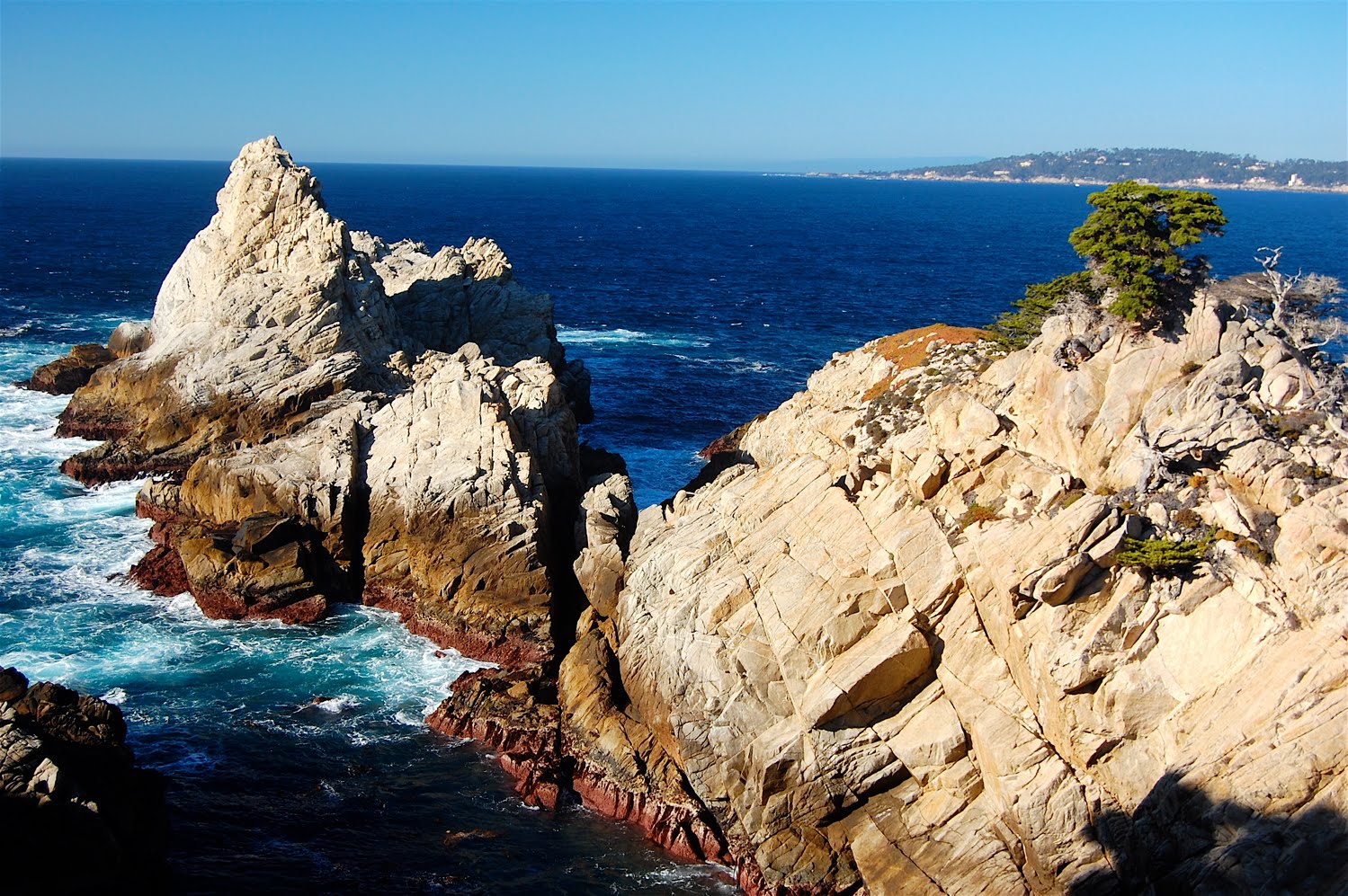 Bilbo from California: A visual diary: Point Lobos