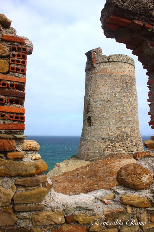 Naturaleza y fotografía: Visitas al Estrecho