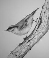 The Art Work of Grahame Butler: July 2010