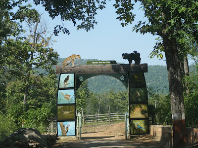 My Nature Photography: Ratanmahal sloth bear sanctuary