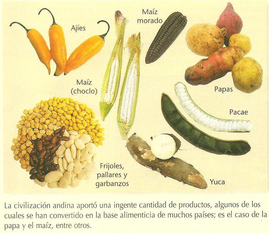 Atlas Geo-Histórico, Económico y Político: LOS INCAS : LA ECONOMÍA