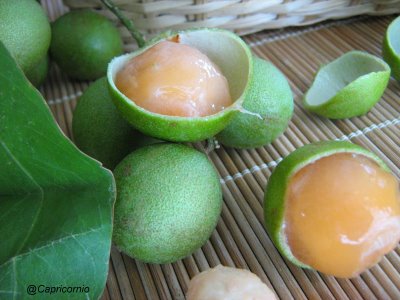 "ELABORACION DEL DULCE DE MAMON": BREVE HISTORIA DEL ORIGEN DEL MAMON