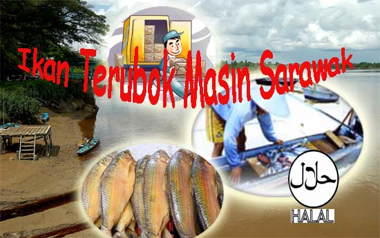 Ikan Terubok Masin Sarawak