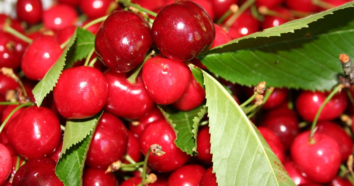 LA TABLE LORRAINE D'AMELIE: Le temps des cerises ♪ ♫ (Récap des ...