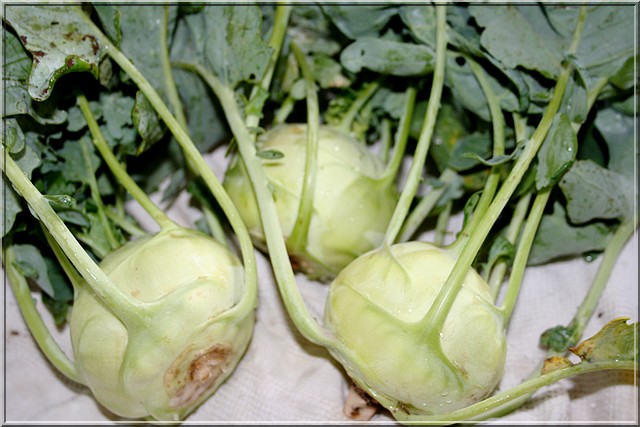 LA TABLE LORRAINE D'AMELIE: CHOUX-RAVES AUX LARDONS ET HERBES FRAICHES