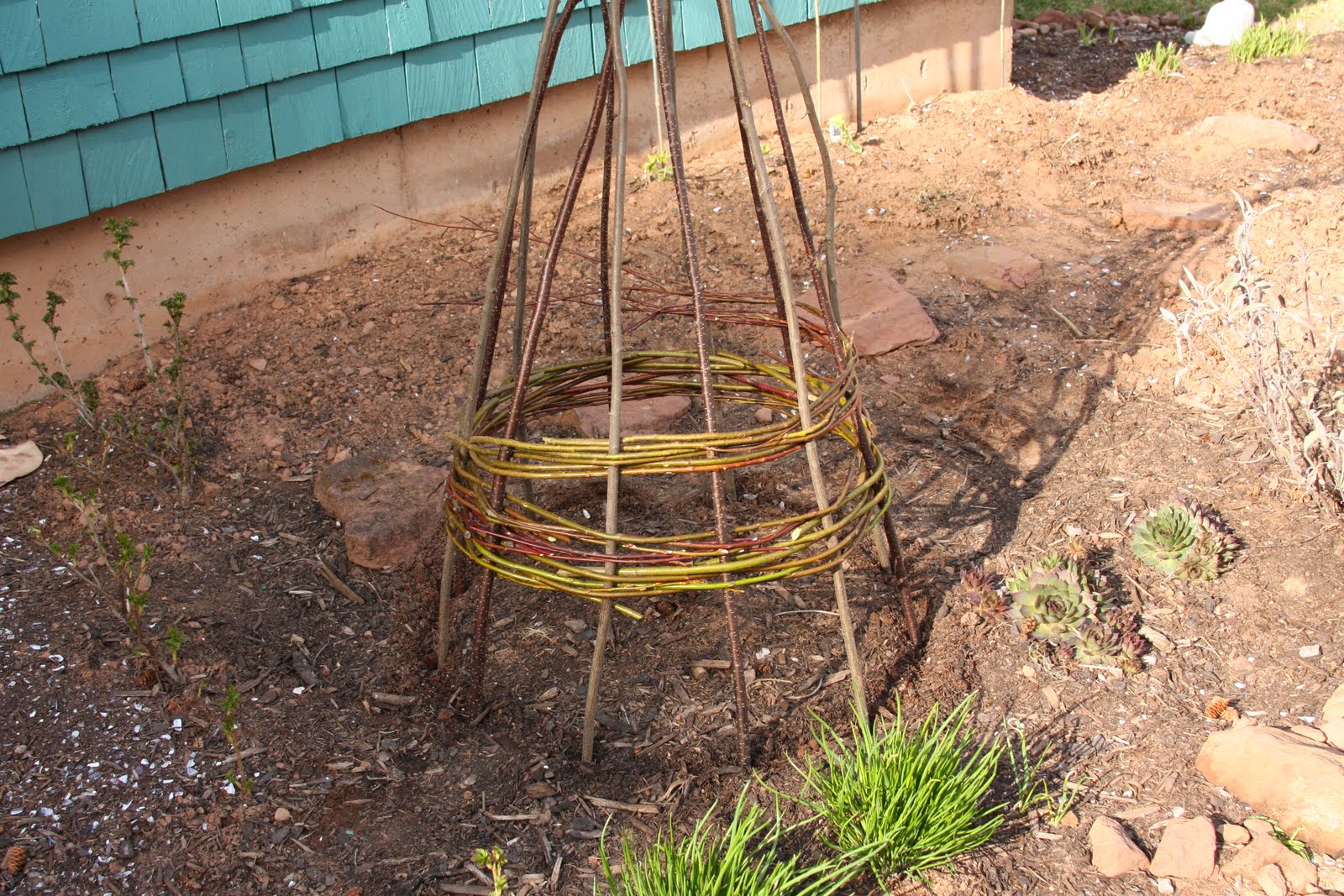 At My Mother's Knee: Homemade Garden Obelisk