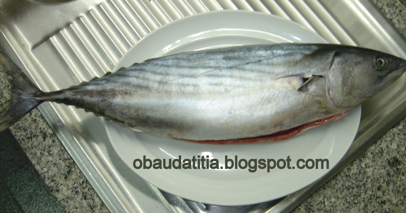 O Baú da Titia: Atum fresco...como arranjar