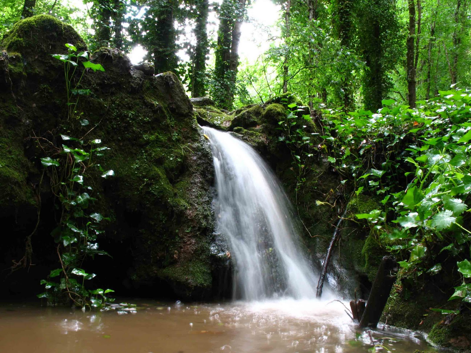 Conoce Sierra Morena , la provincia de Córdoba y parte de Andalucia ...
