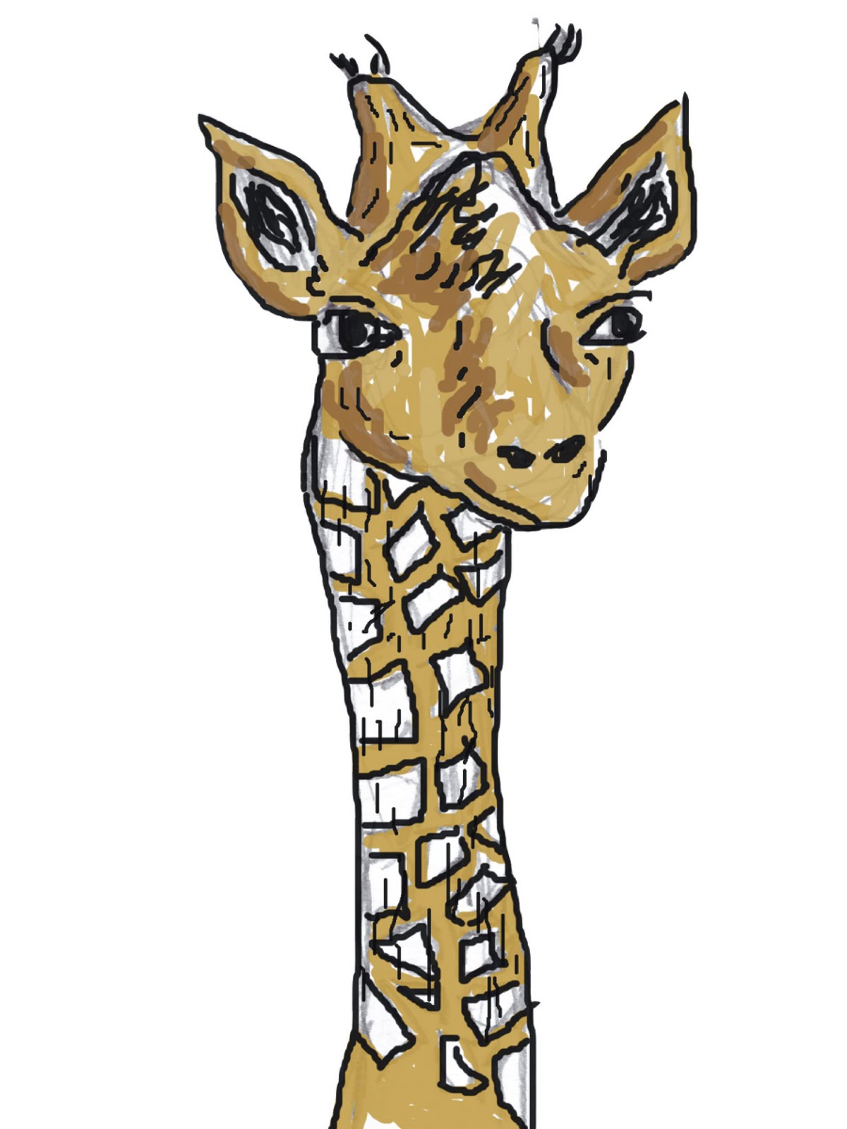 D Hawk Illustrations: ARTIST EARLY BIRD- GIRAFFE ILLUSTRATION