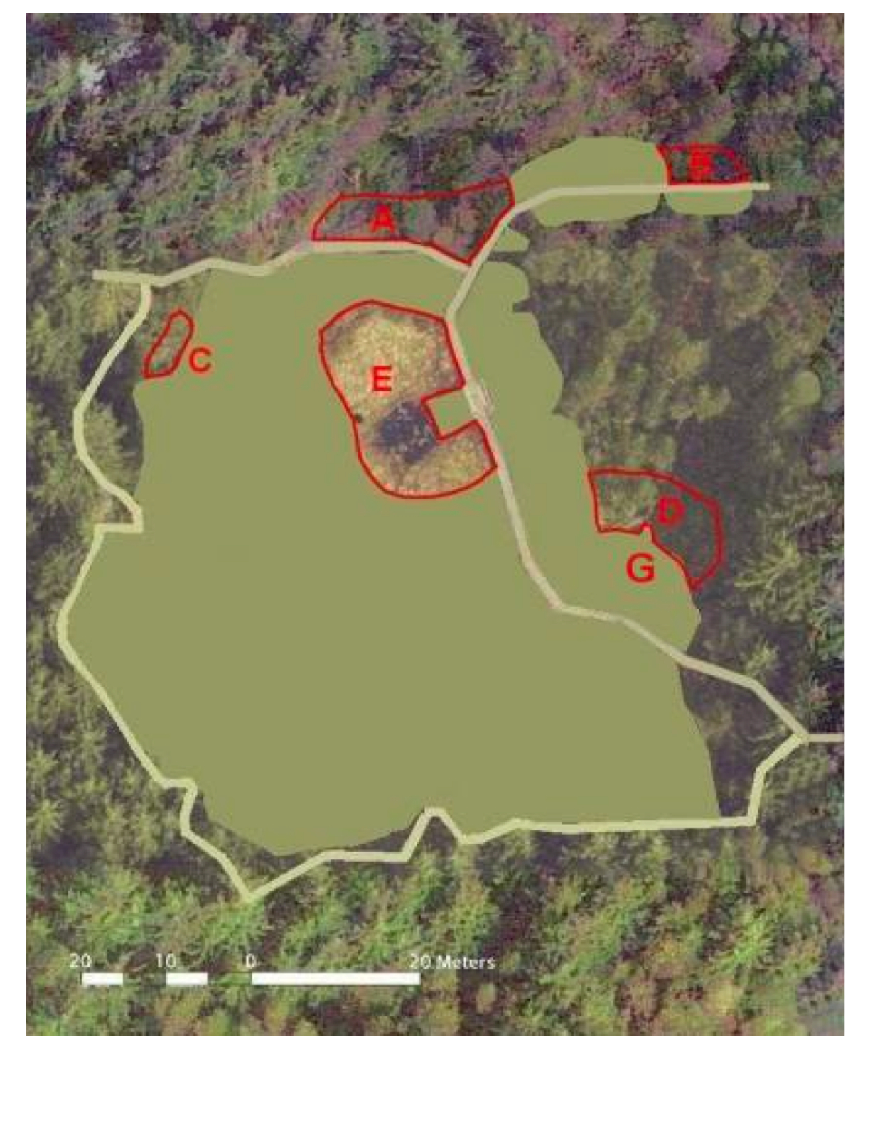 Camosun Blog : Camosun Bog Restoration Group In VItro
