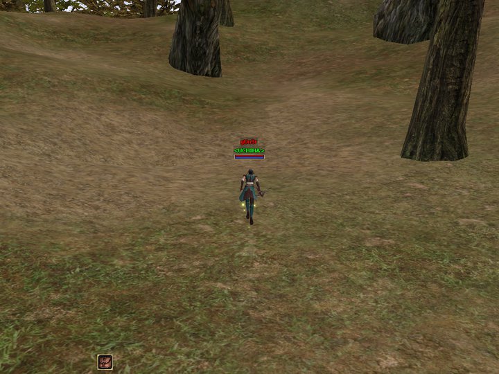 HALF ELF Ranger, Scout ~ EINHOREN GAMING