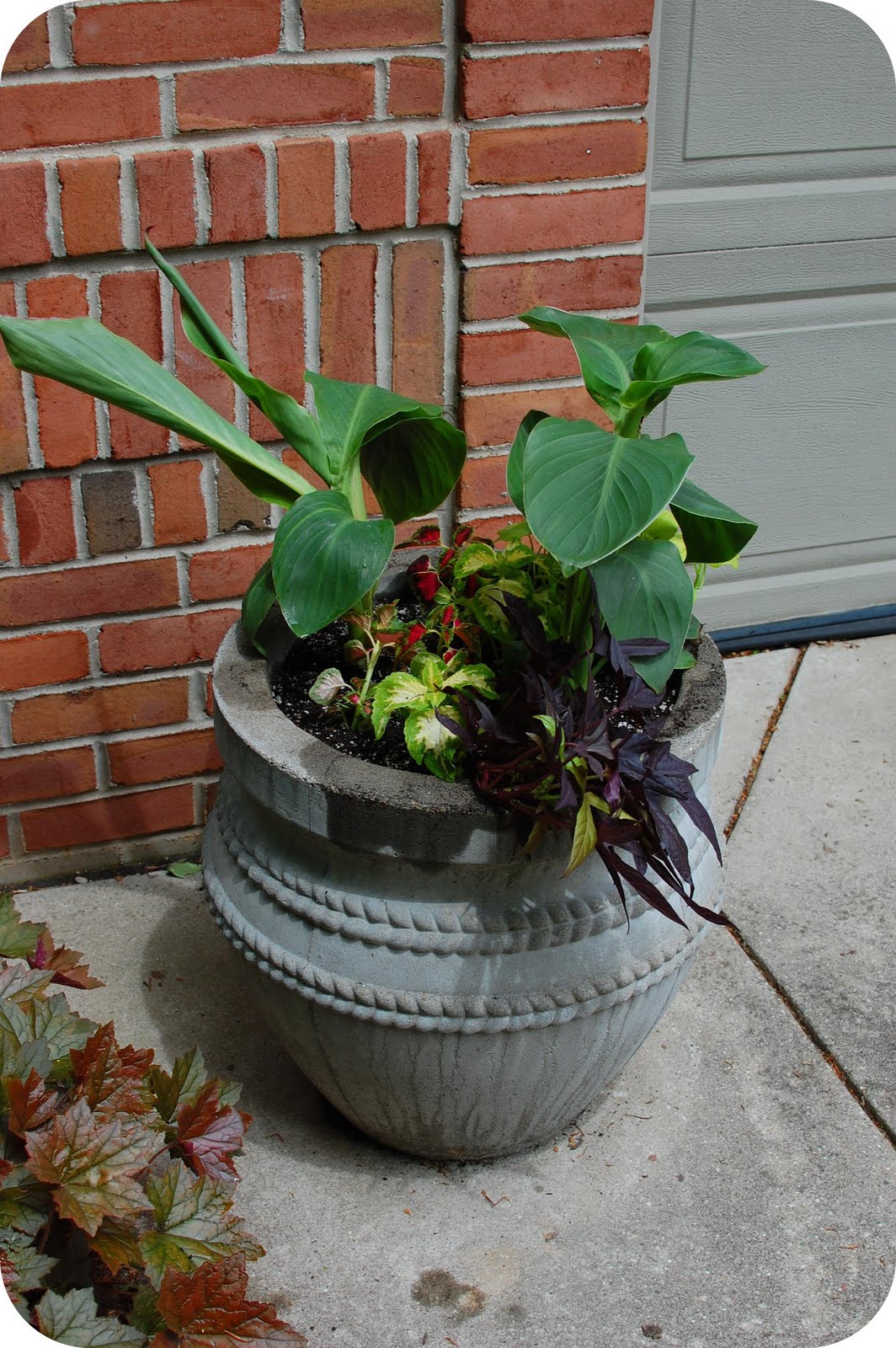 33 Shades of Green: Container Gardening