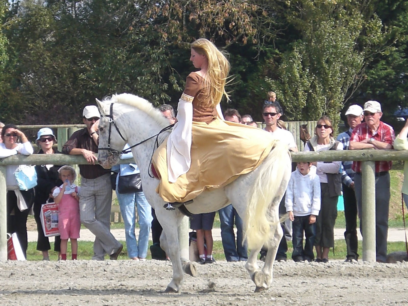 Trait et Postier Breton