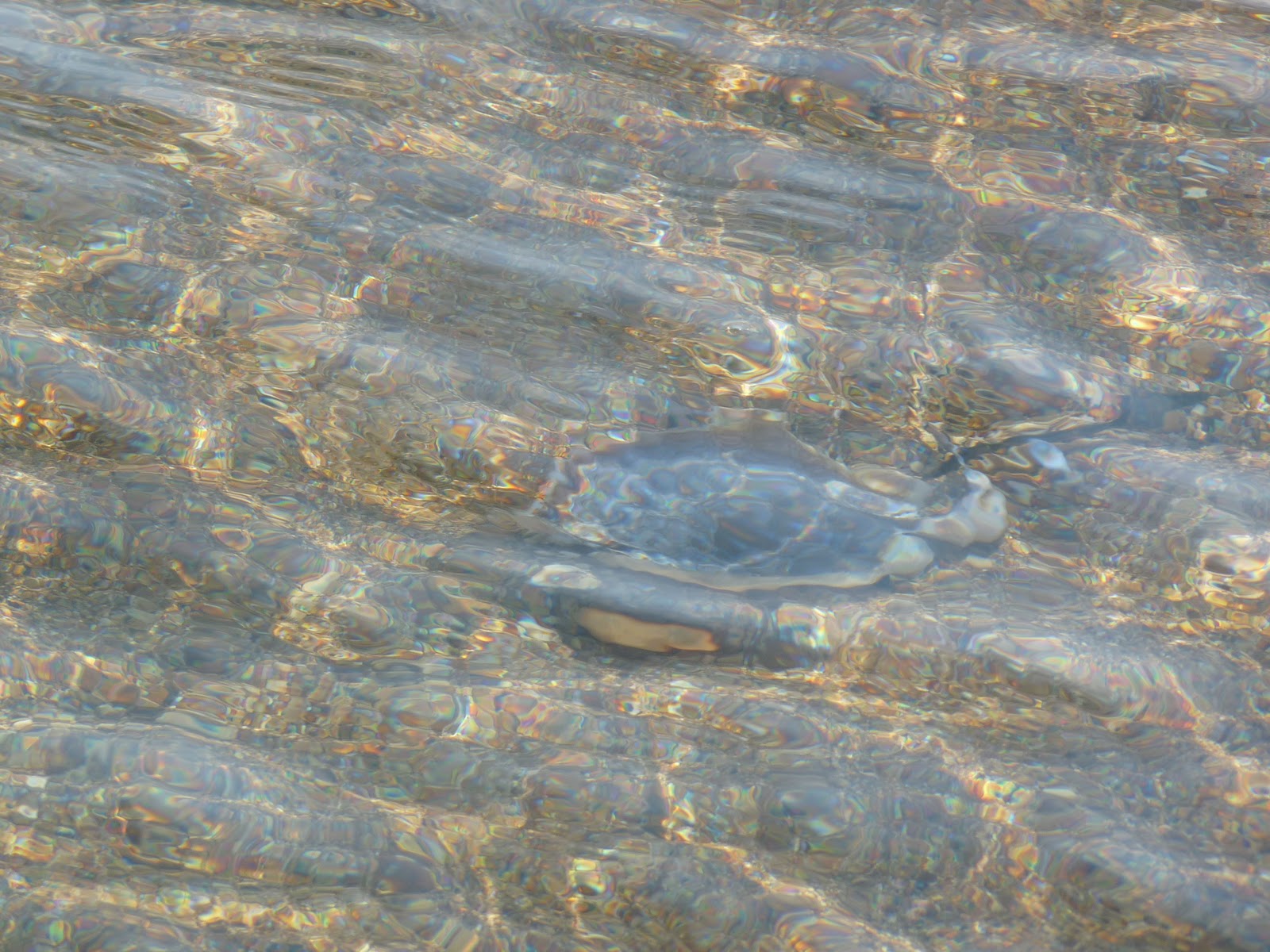 Wild and Wonderful: October 2010