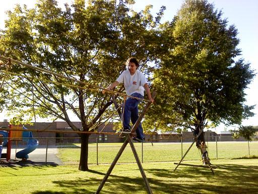 The Glass is Half Full: Monkey bridge