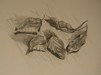 Spike is Best: Dead Leaves - Drawing