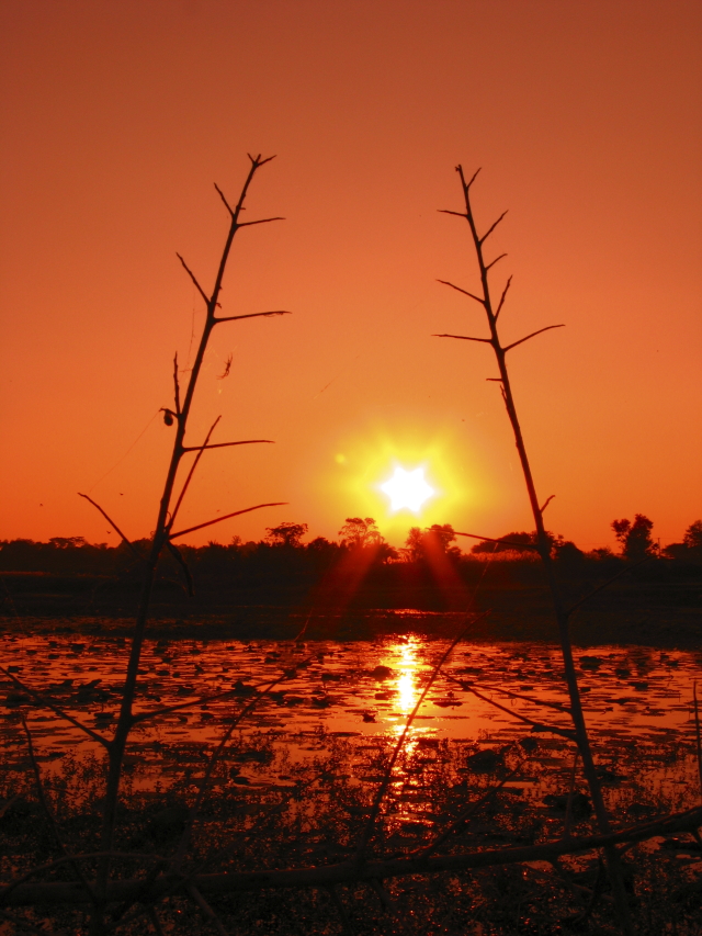 VPREKSHYA: NUGU DAM & SARAGOORU