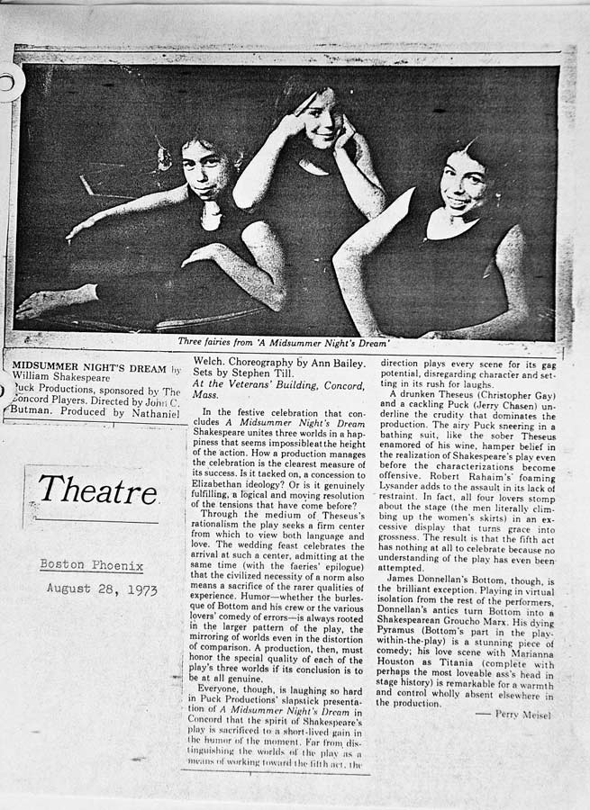 Perry Meisel: A Midsummer Night's Dream