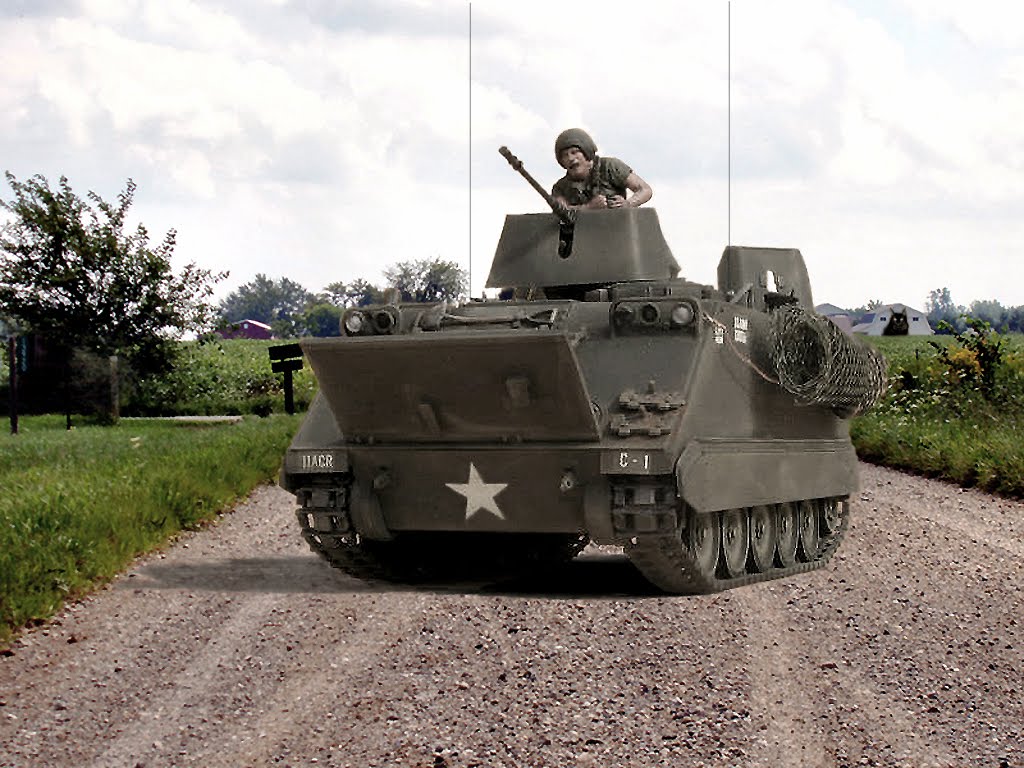 The Great Canadian Model Builders Web Page!: M 113