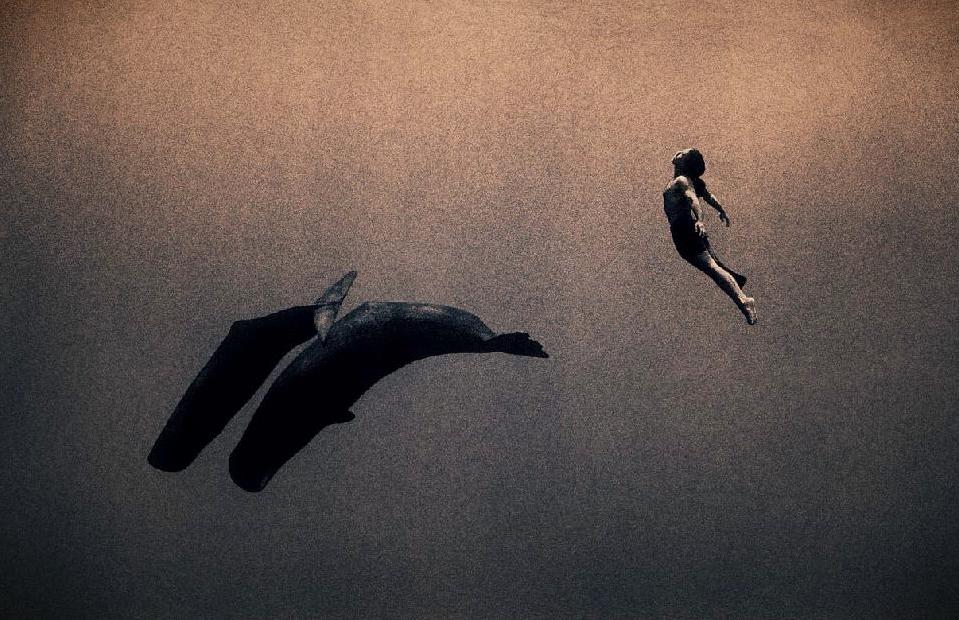 Surface Research - Artists: Gregory Colbert (1960-present)