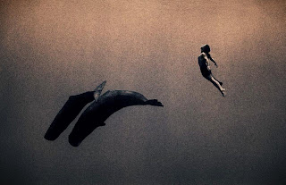 Surface Research - Artists: Gregory Colbert (1960-present)