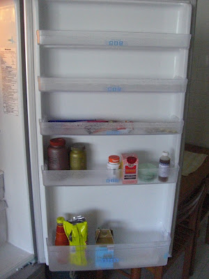 Marc's Macrocosm: Panasonic Refrigerator