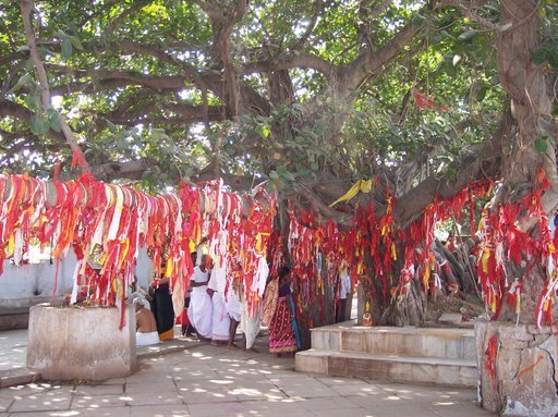 Official Blog of Parihara.com: Pilgrimage to Prayag