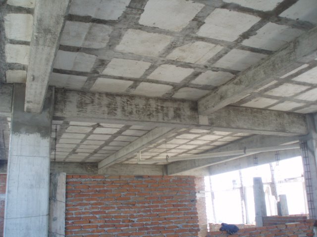 Carlos Costa: losa reticular