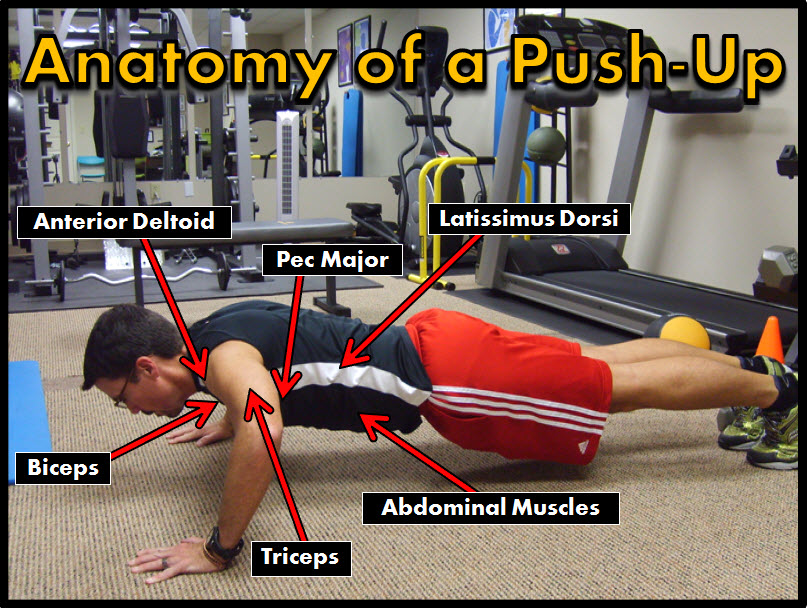 RunnerDude's Blog: Push-Ups, A Runner's Best Friend