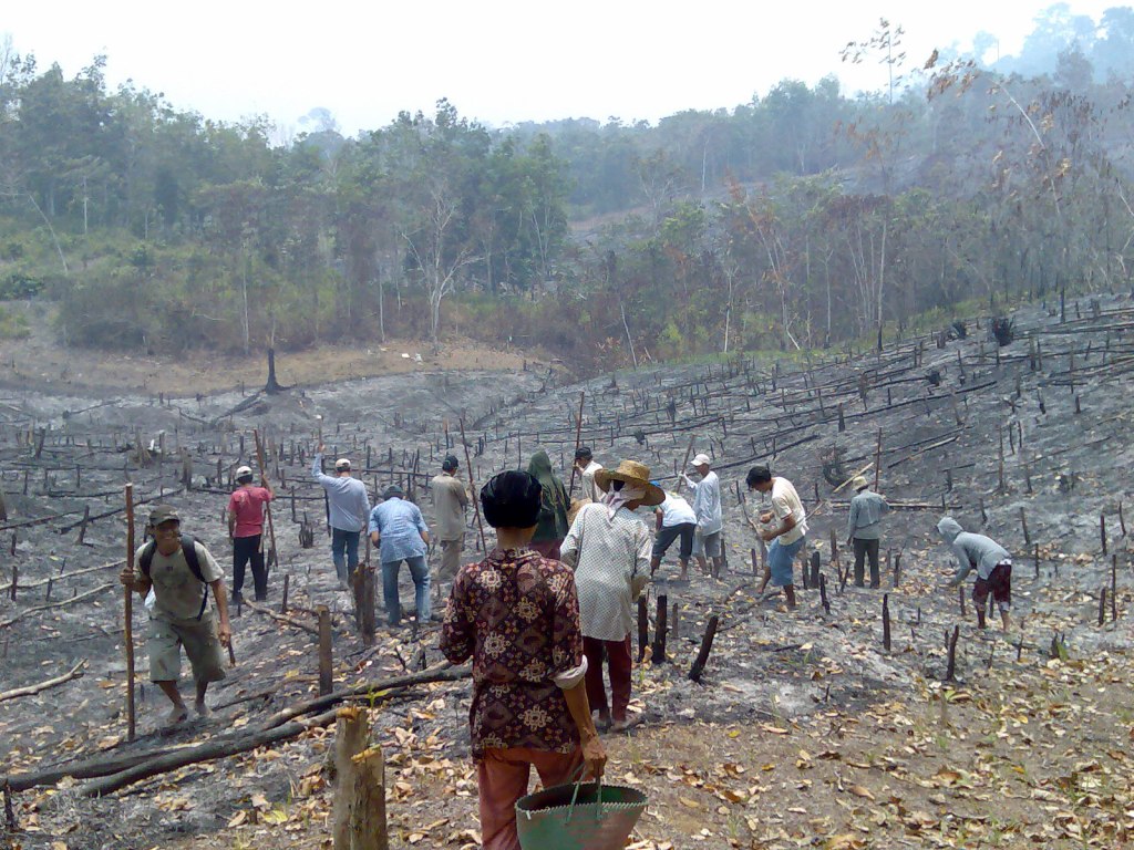 Dunia Tanpa Huruf Akan Mati: SISTEM PERLADANGAN DAN KEARIFAN ...