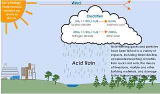 Purple_Lavender: Acid Rain....