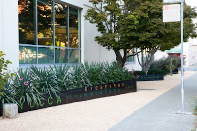 paradis express: Topher Delaney via Dana Garden Design