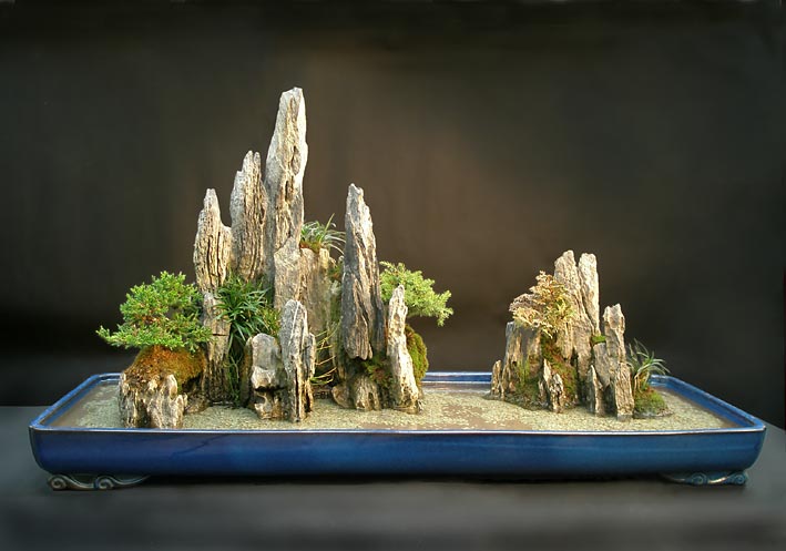 paradis express: Penjing