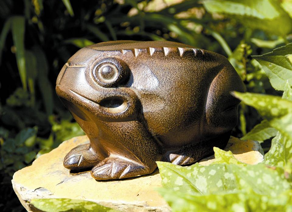paradis express: Frogs collection