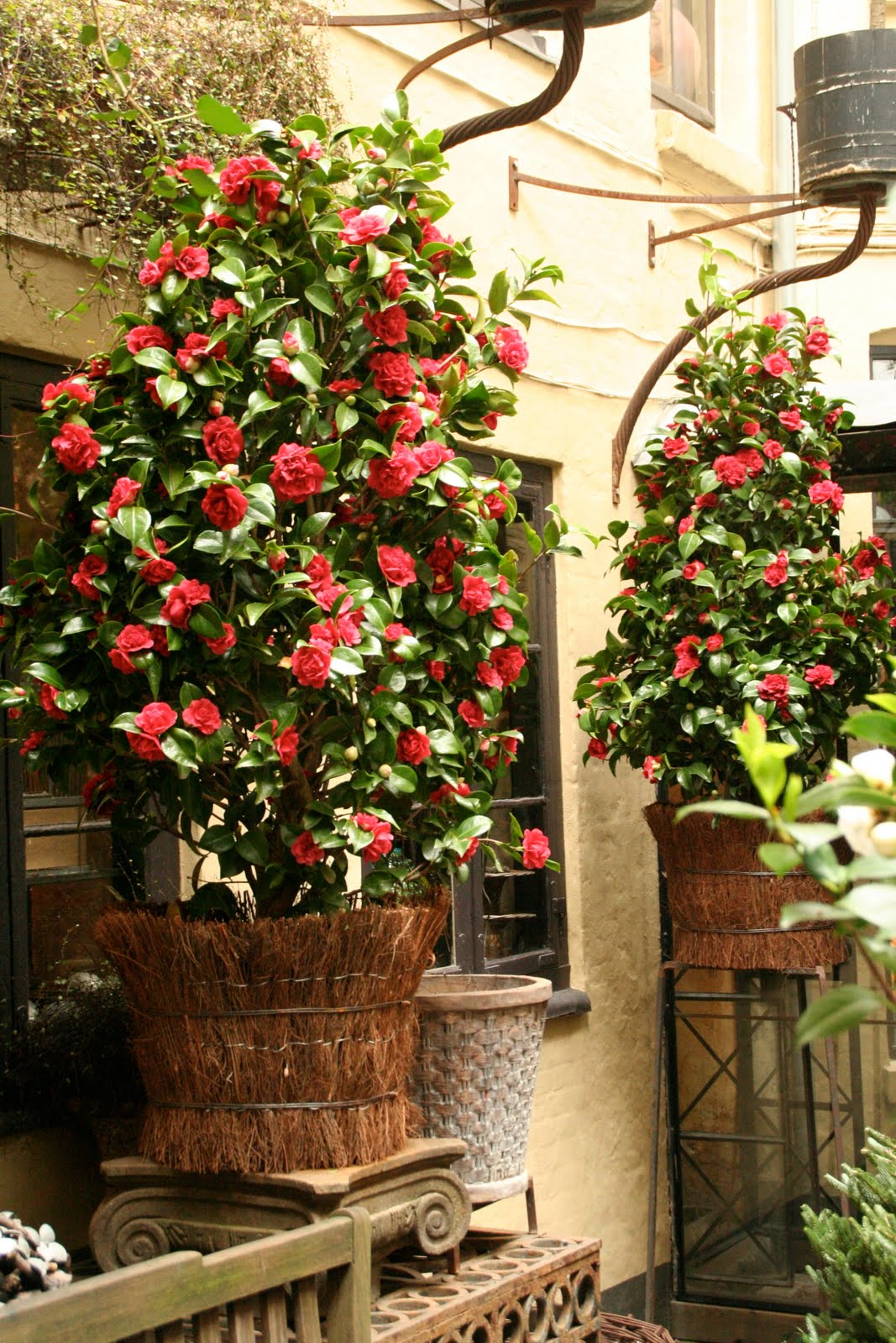 paradis express: Tage Andersen