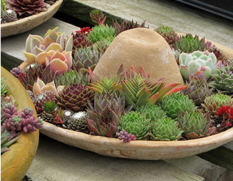 paradis express: JunkArt by Susan Morrison