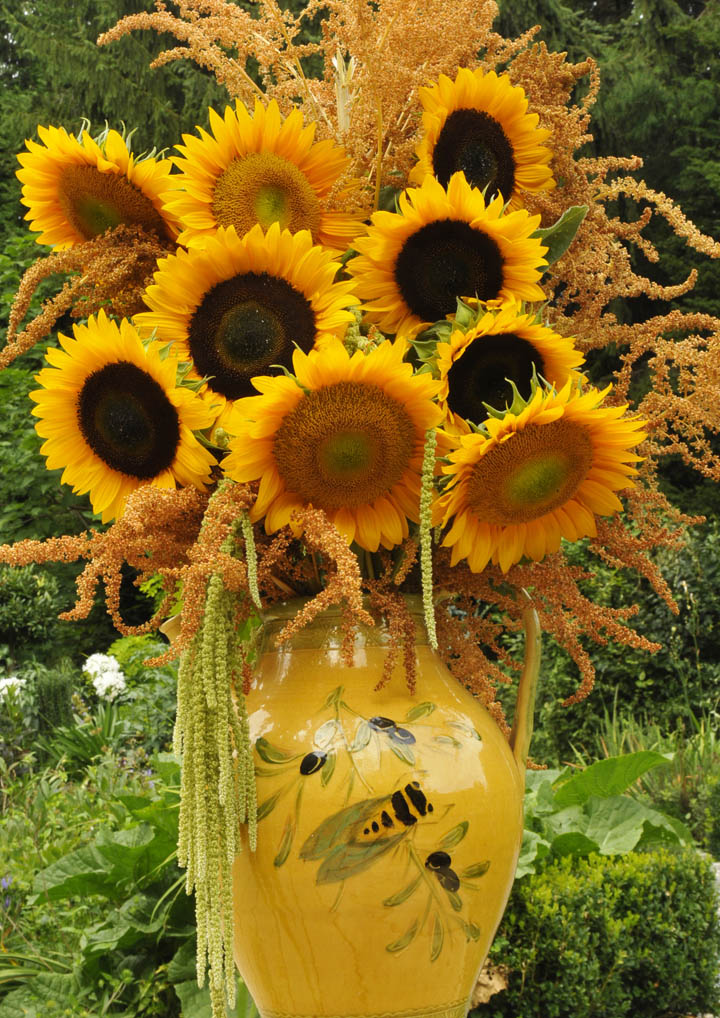 paradis express: Matt Mattus