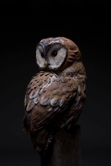 paradis express: Jeremy James Ceramics