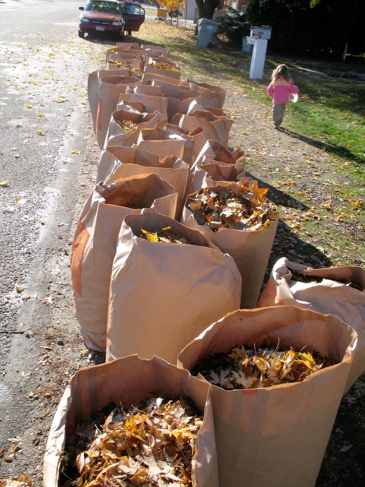 Treasure Valley Stroller Strides