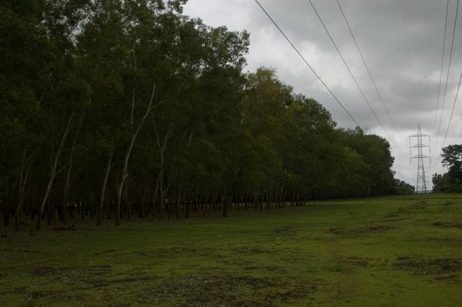 Keralam: Chittar, Pathanamthitta