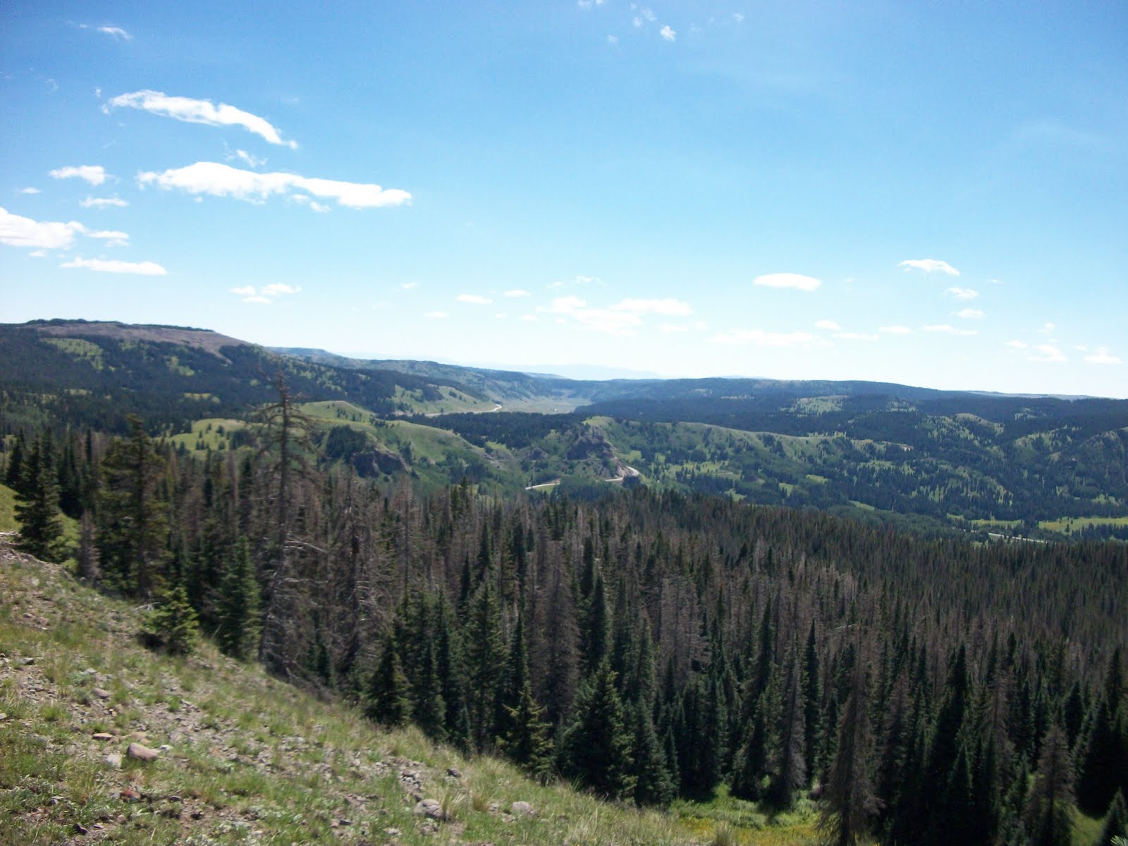 singlespeedintheway: Trail 813, Cumbres Pass Colorado