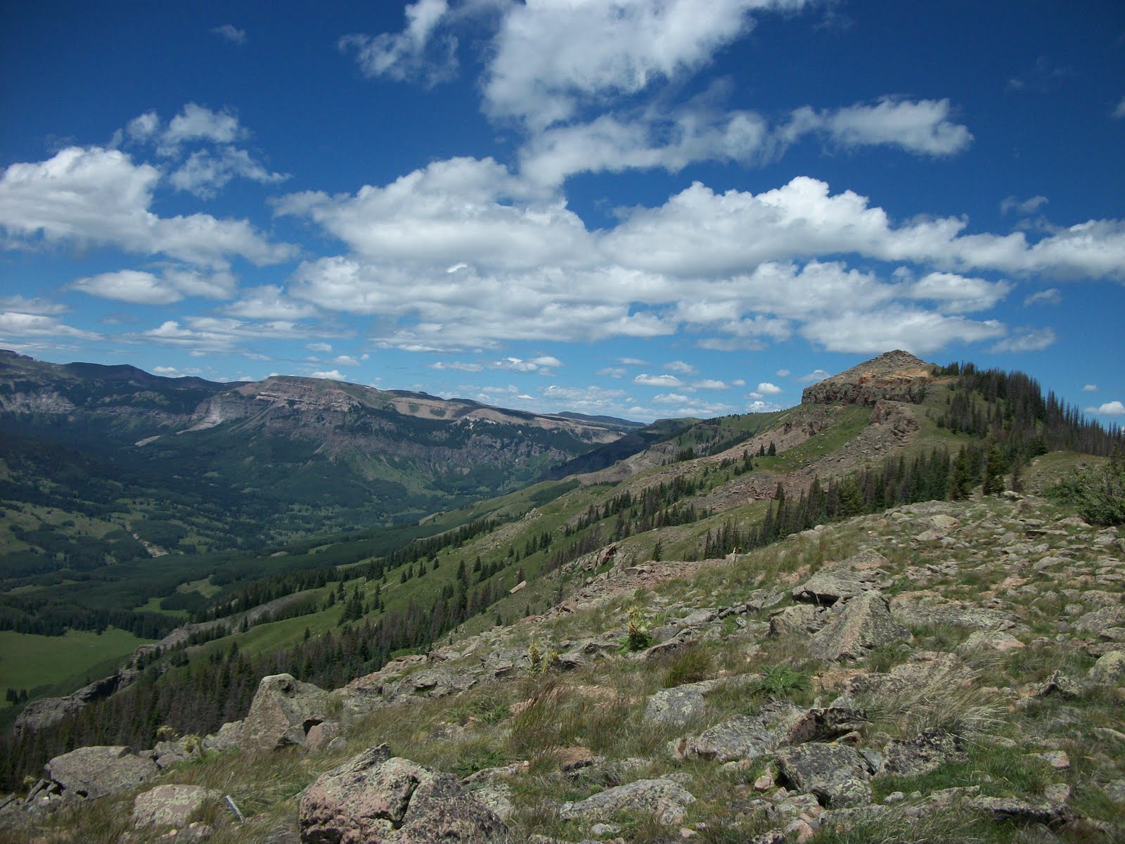 singlespeedintheway: Trail 813, Cumbres Pass Colorado