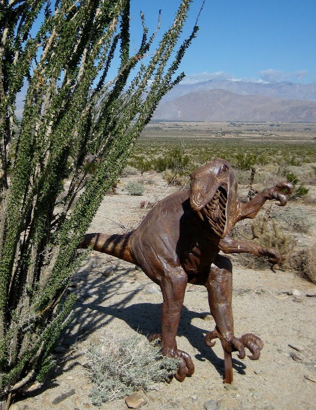 The Road Less Traveled: Desert Creatures