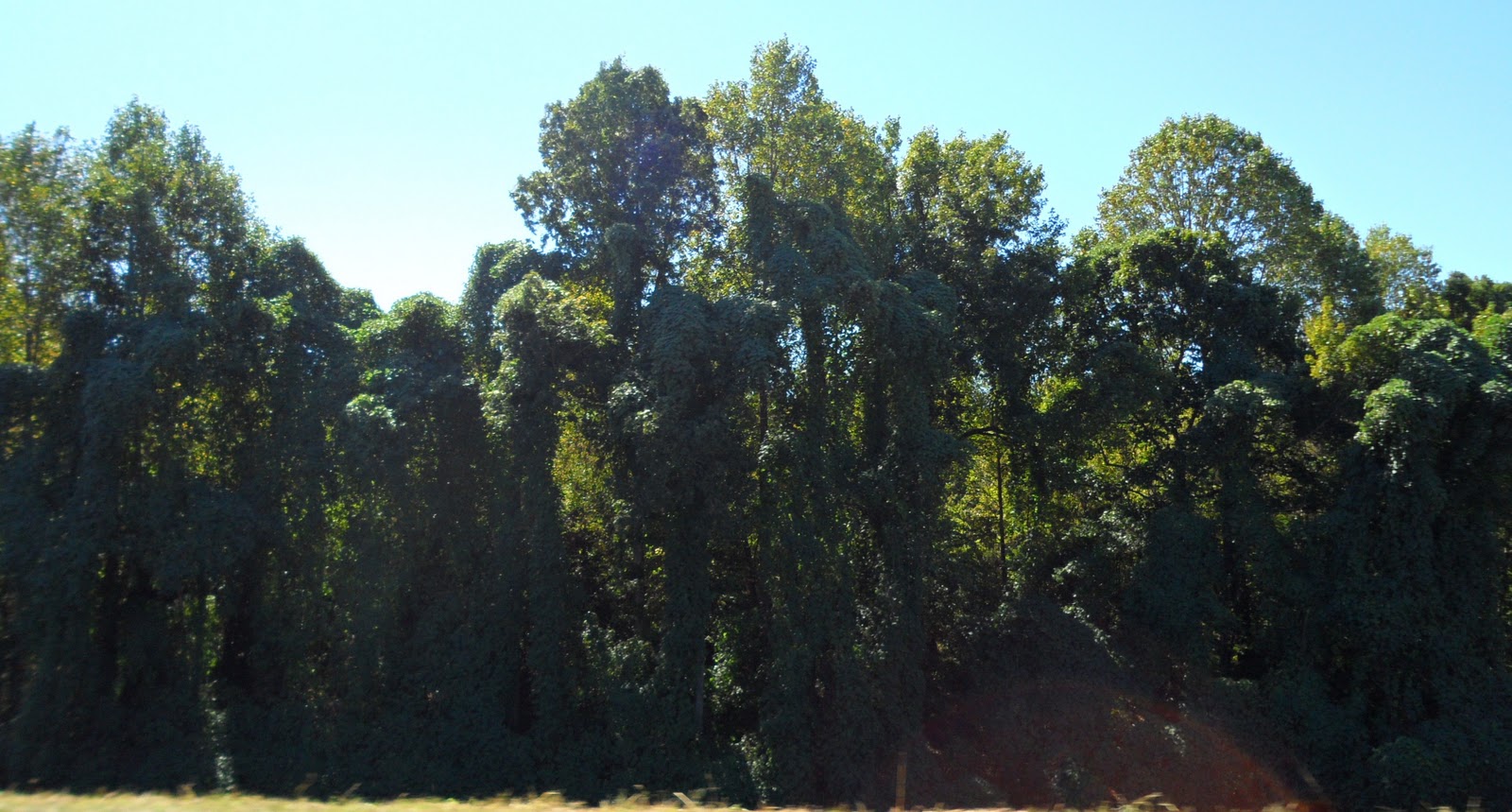 R and R travels: Fall Migration - Missouri to Georgia