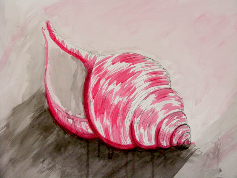Life Drawing One blog: Shell Drawing #3