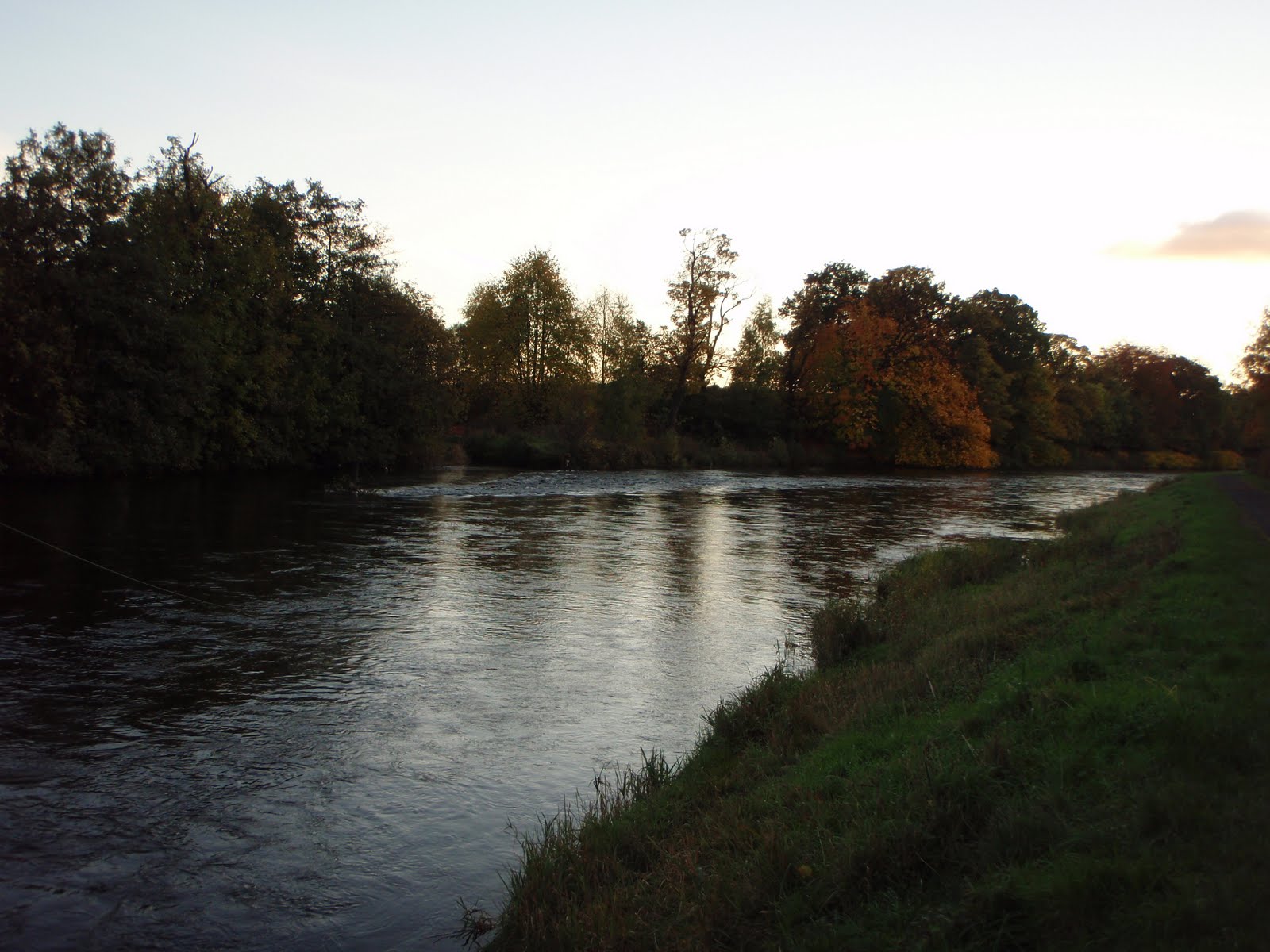 Scottish Fishing Guide: River Leven