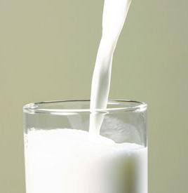 Dairy Product: Lactose (milk sugar)