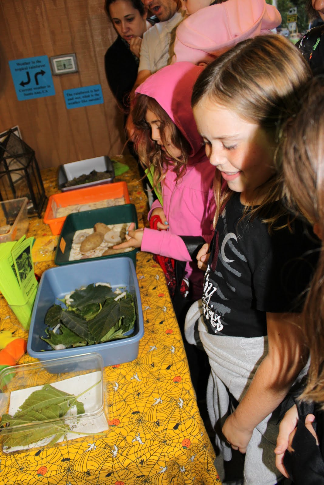 HUNTINGTON BEACH GIRL SCOUT TROOP 746: BOO AT THE ZOO