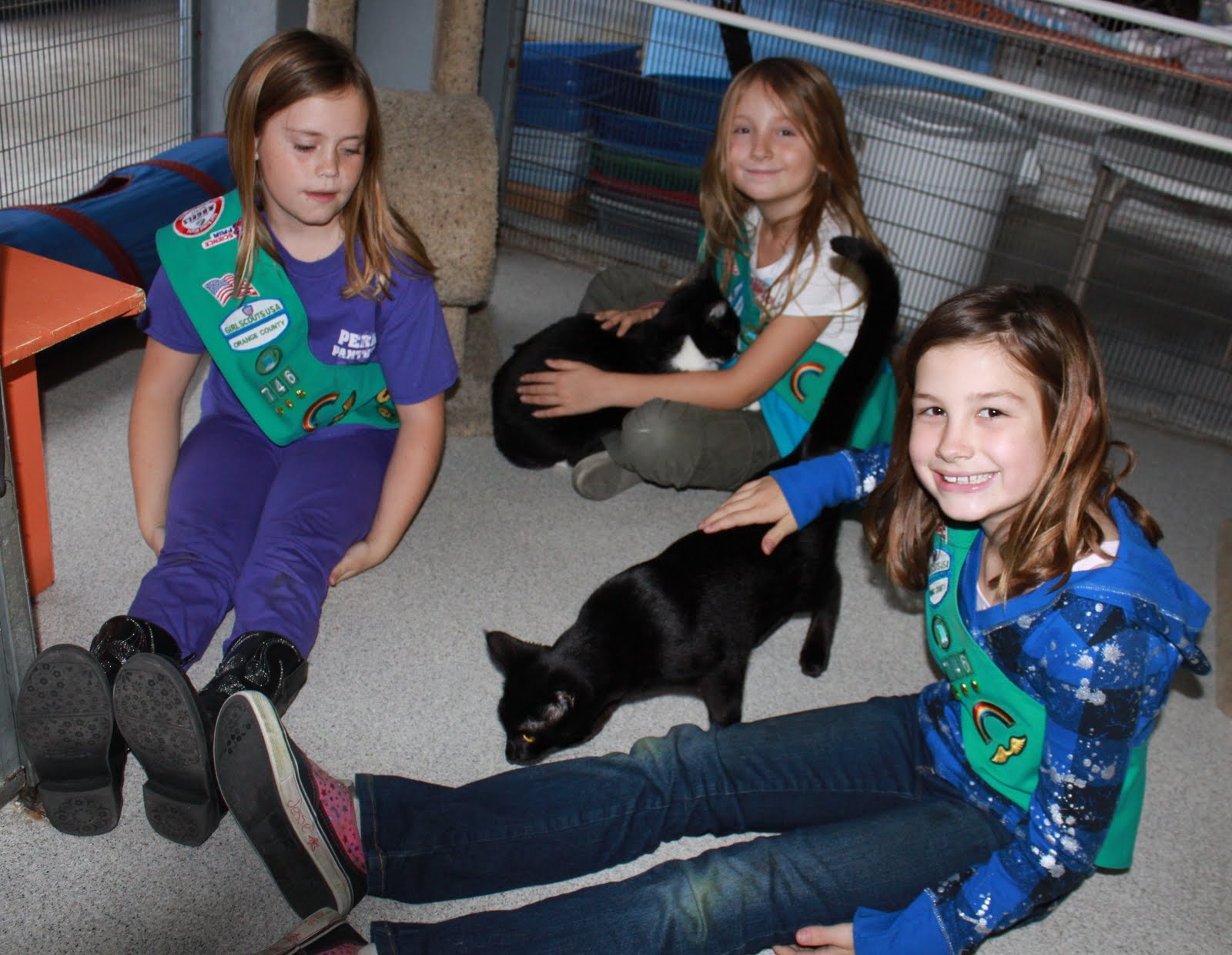 HUNTINGTON BEACH GIRL SCOUT TROOP 746: MEOW! THAT IS "I LOVE YOU" IN ...
