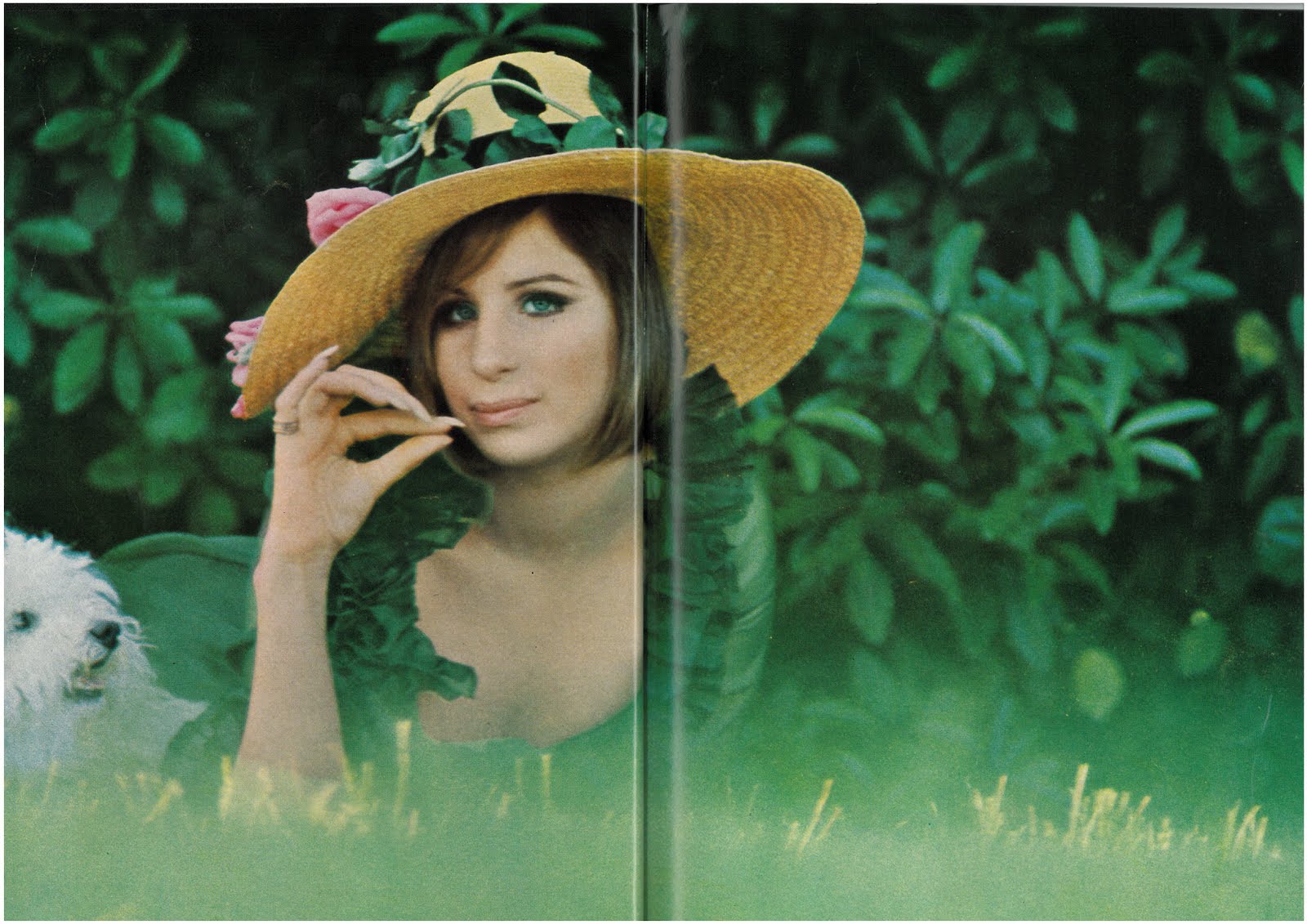 Barbra Streisand Vogue D33blog